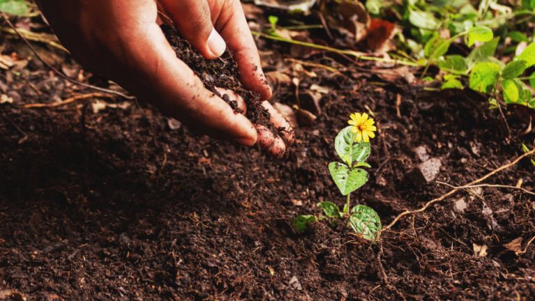 La Importancia de la Conservación del Suelo y Agua - Consultoría Ambiental